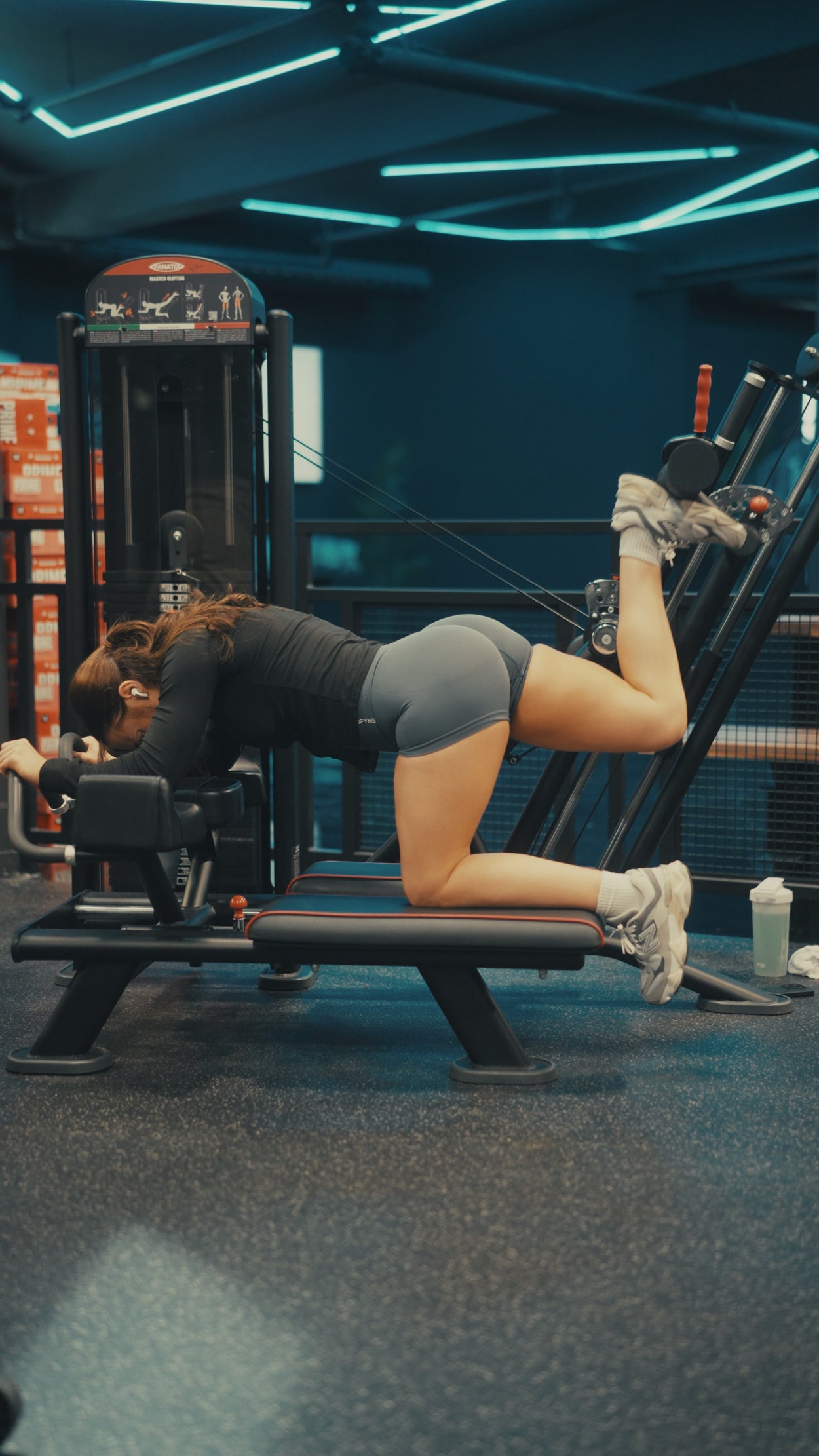 Memberships – Pure Muscle + Fitness